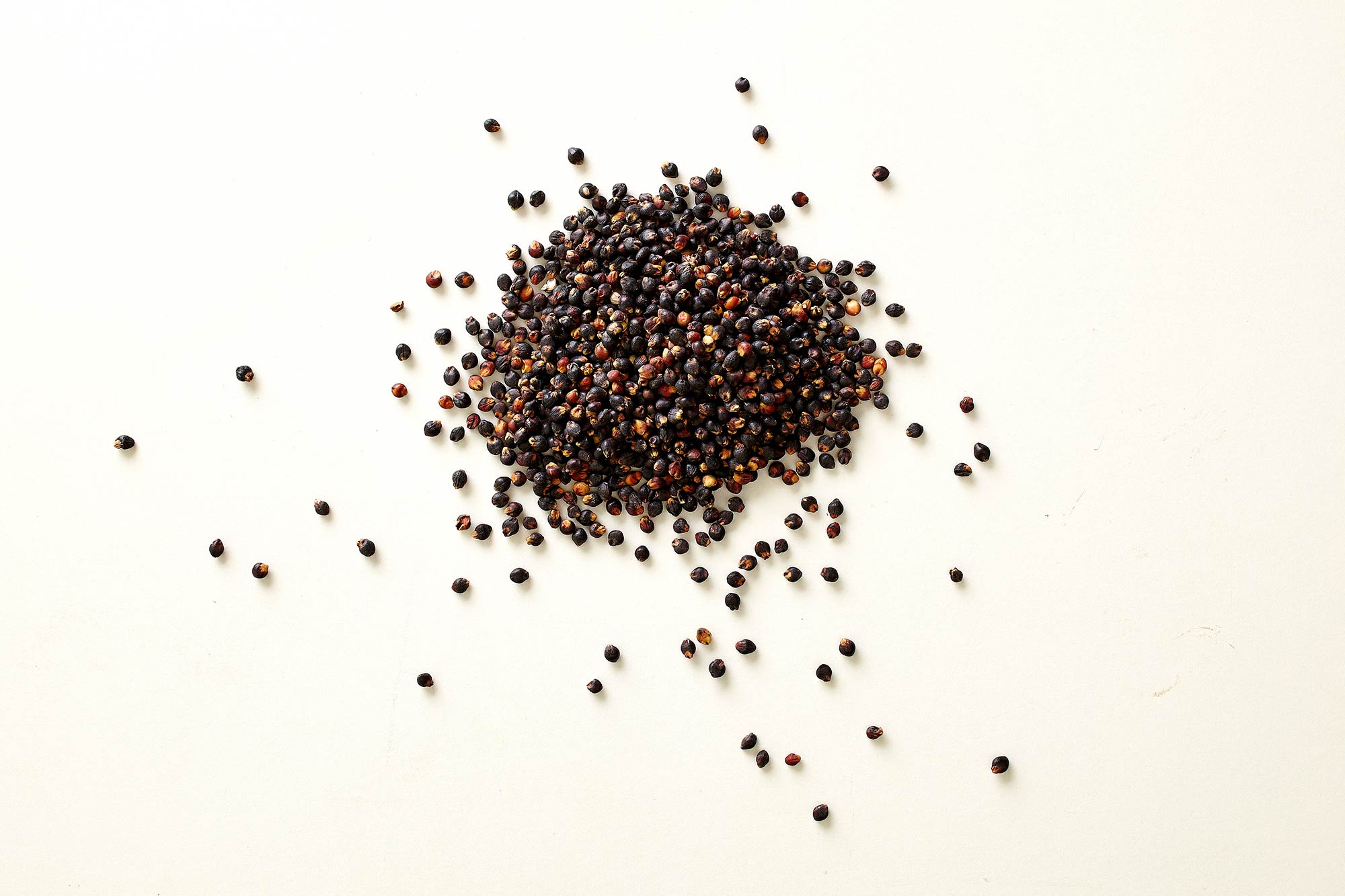 Types of Sorghum - Sorghum Checkoff