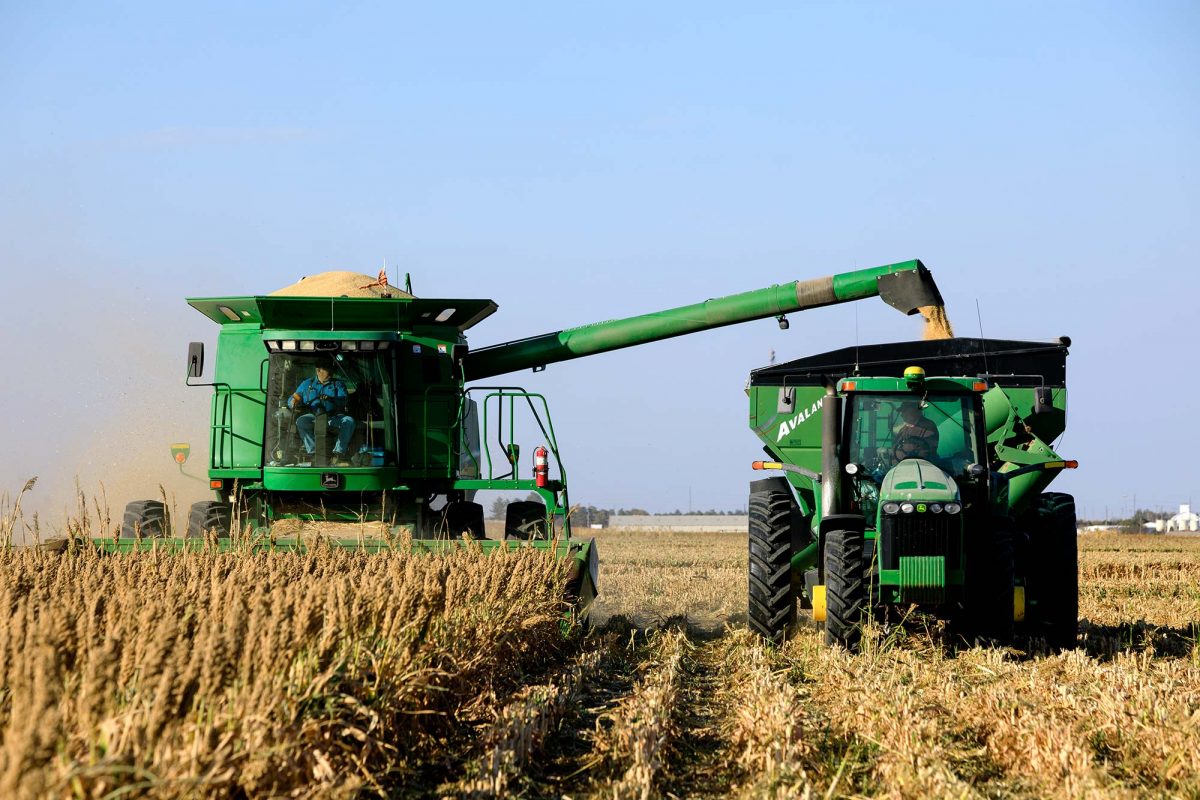 About Us - Sorghum Checkoff