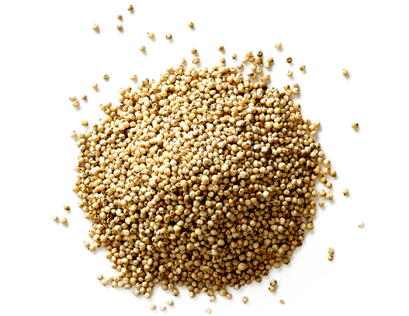 Types Of Sorghum Sorghum Checkoff