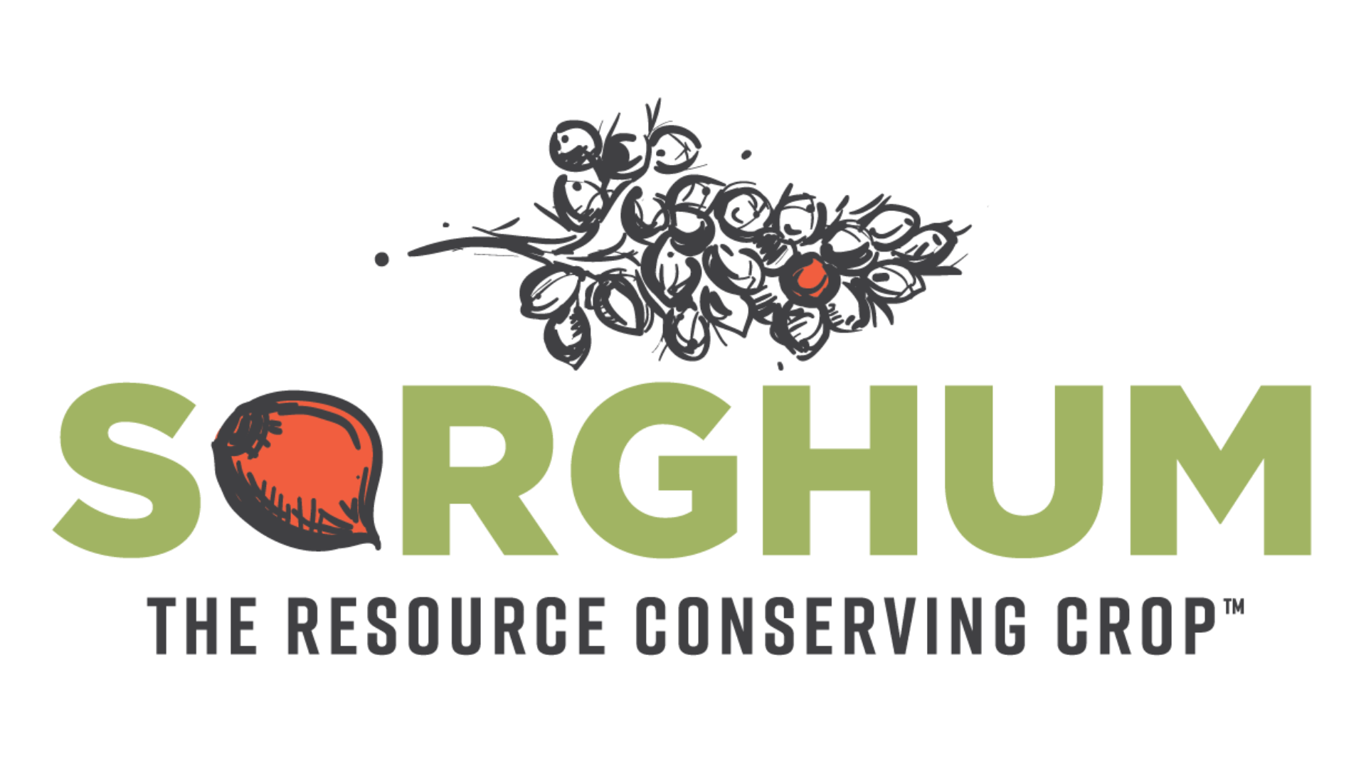 Our Sustainability Story - Sorghum Checkoff