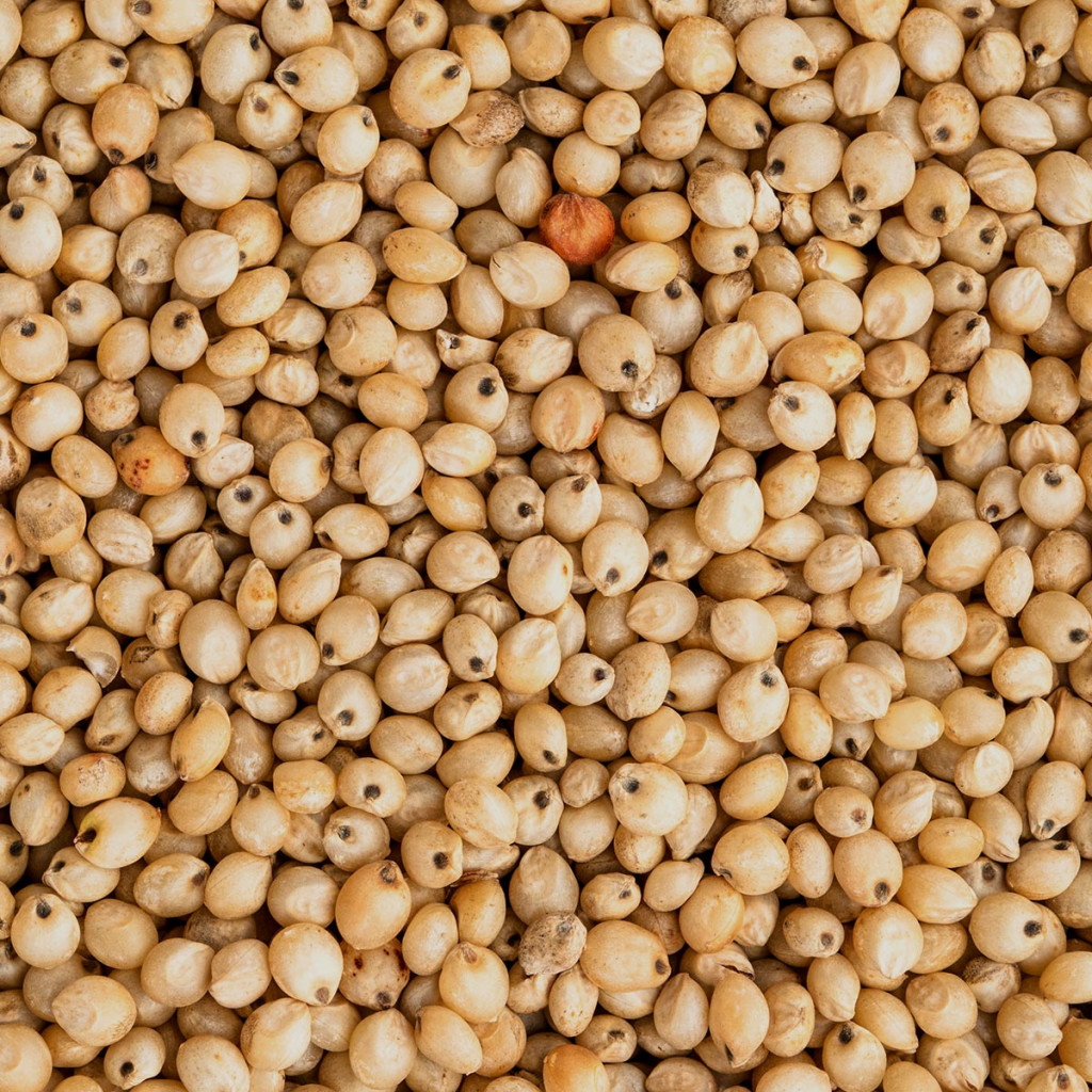 The Resource Conserving Crop - Sorghum Checkoff