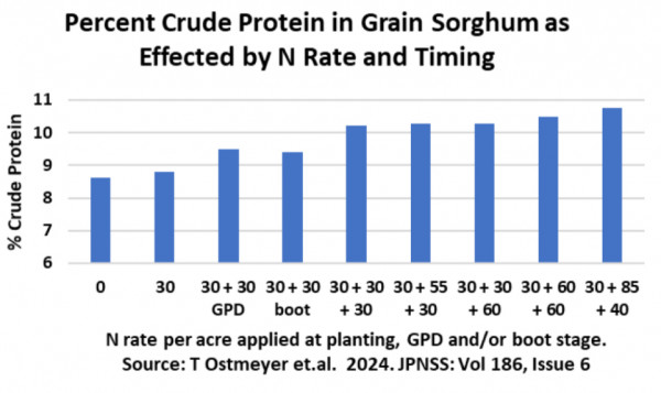 Increasing Sorghum Grain Protein - Sorghum Checkoff